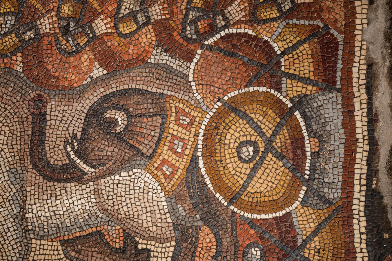 One-of-a-Kind Mosaics Discovered in Ancient Israeli Synagogue ...