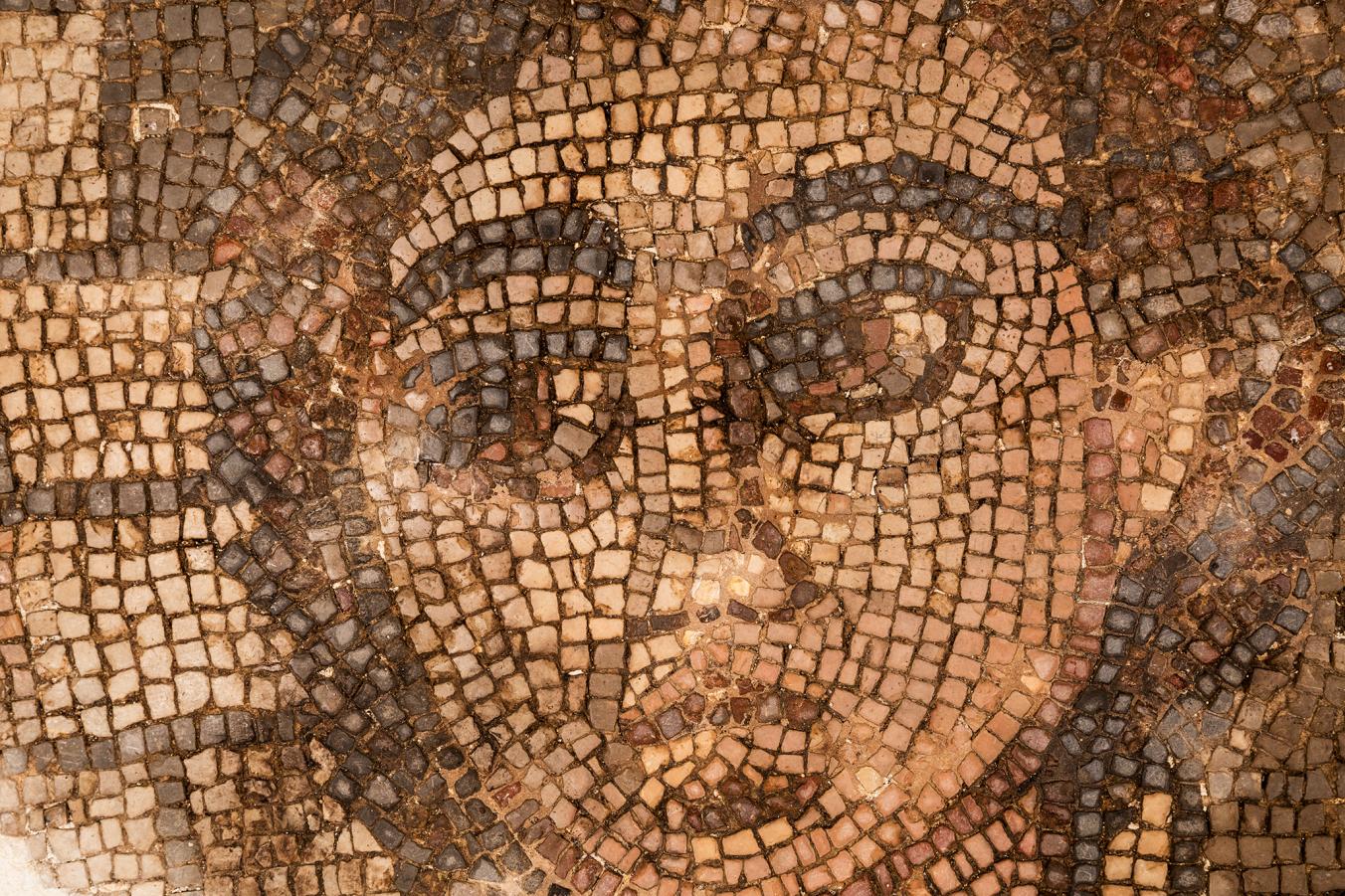 One-of-a-Kind Mosaics Discovered in Ancient Israeli Synagogue ...